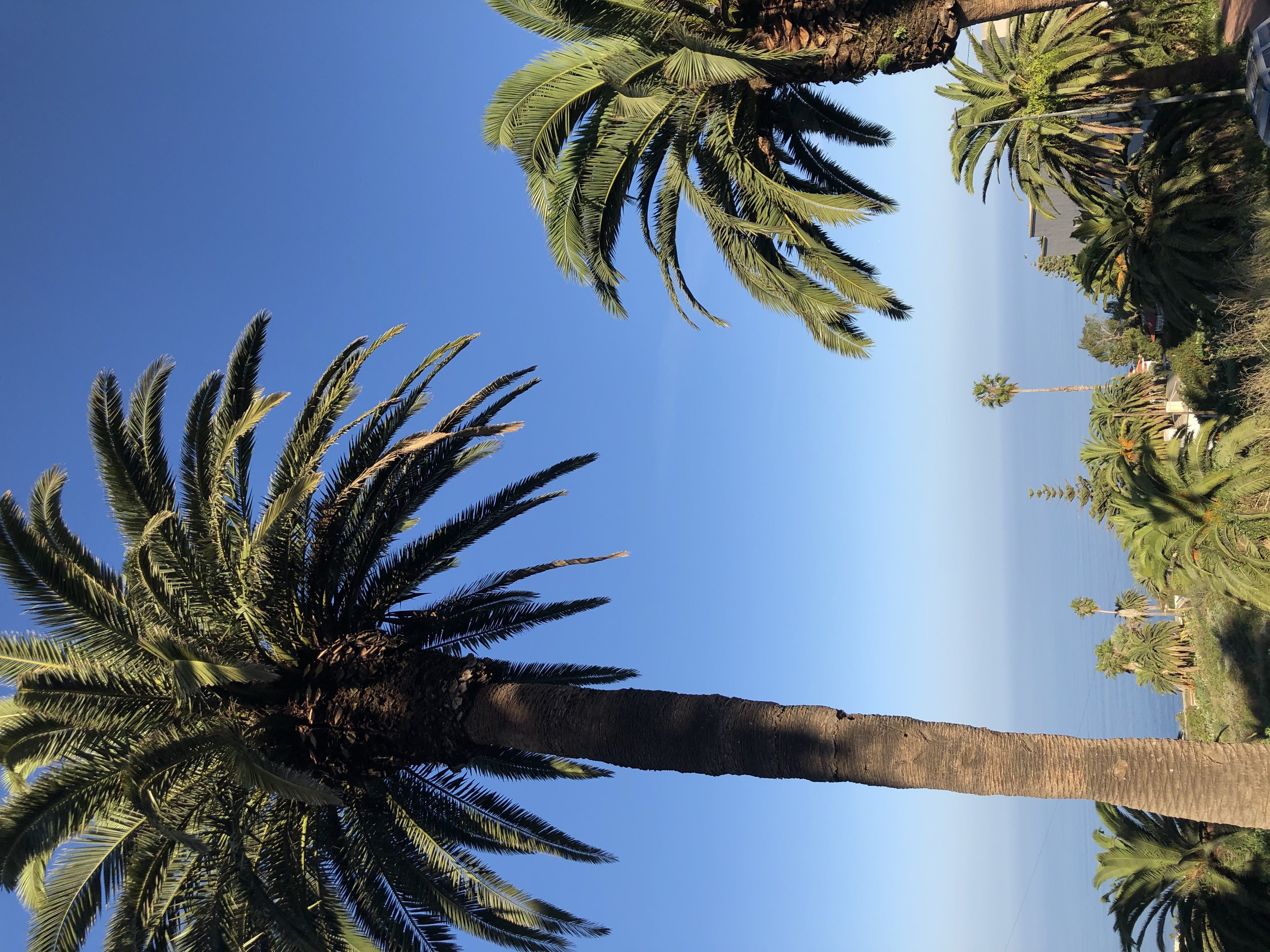 IMG_3188 - Wien mit Kind